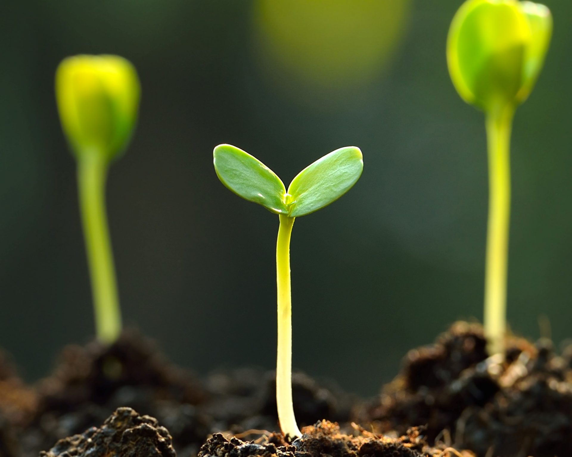 Accompagnement opérationnel - Protourisme